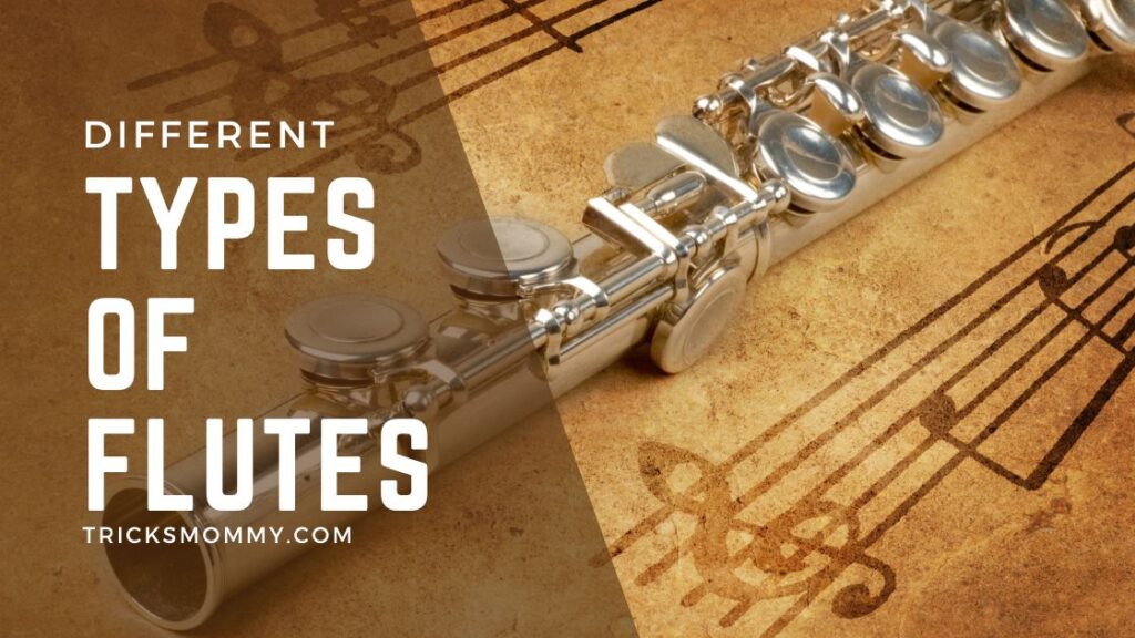 Types of Flutes – TricksMommy.com